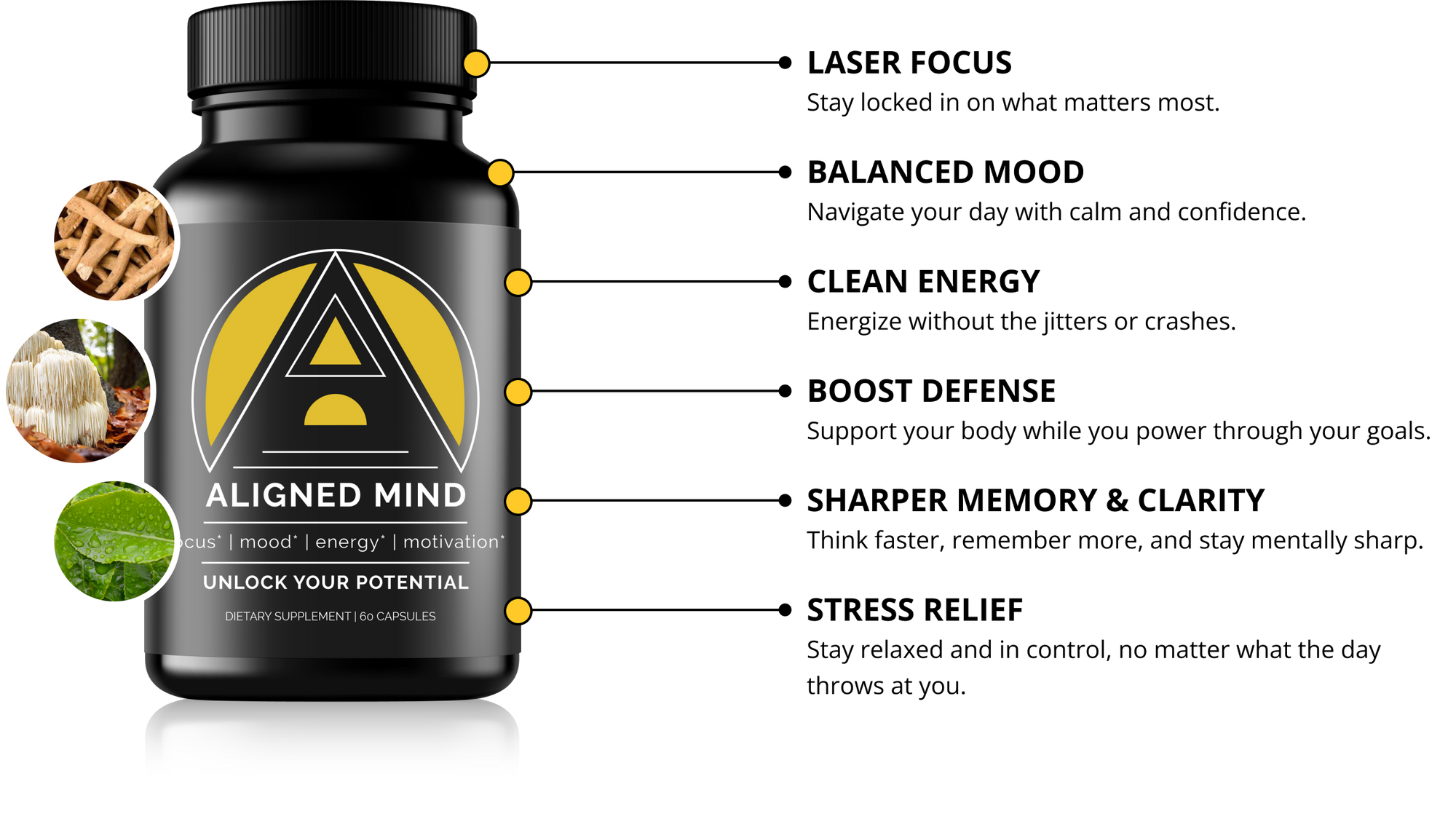 Natural Cognitive Support & Mindful Tools for Modern Minds – Aligned Mind